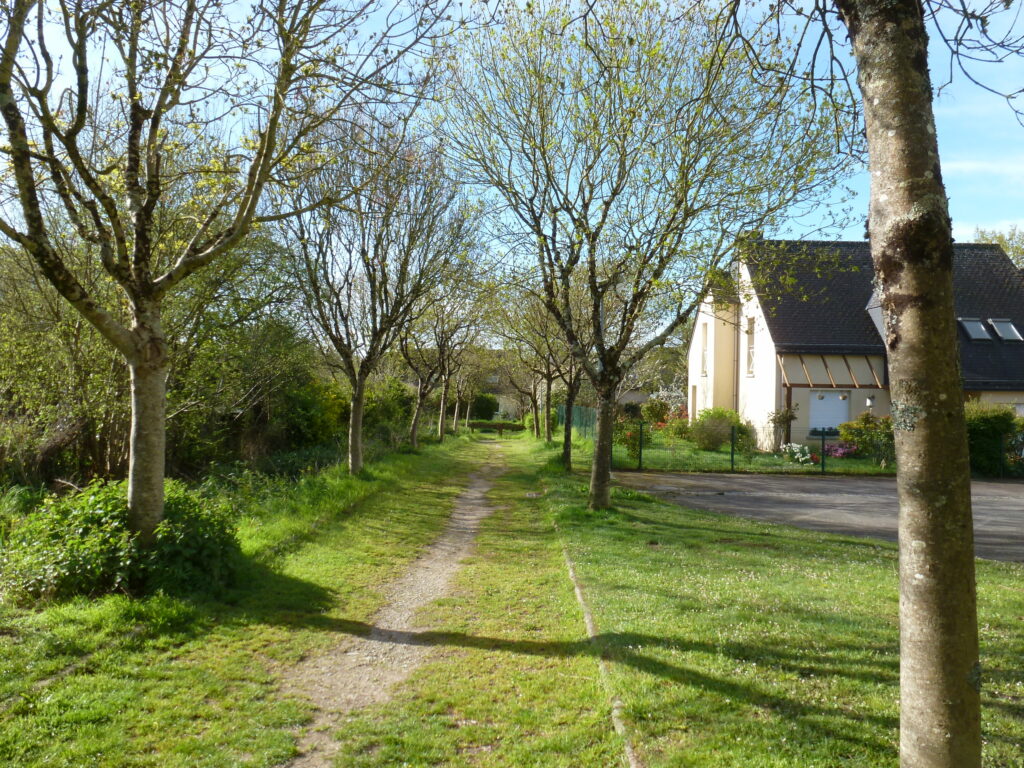 Aménagement favorable à la biodiversité - DEPHY Collectivités - Bretagne