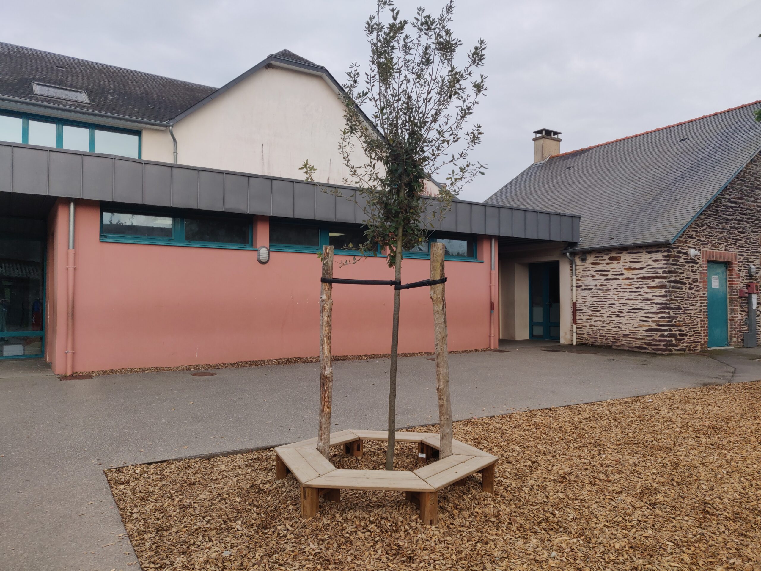 Végétalisation de deux cours d'école - DEPHY Collectivités - Bretagne